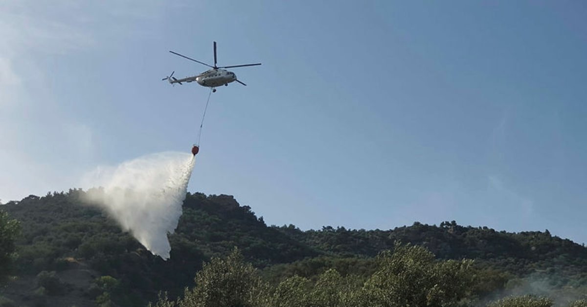 Assos sahilindeki zeytinlik alanda yangın