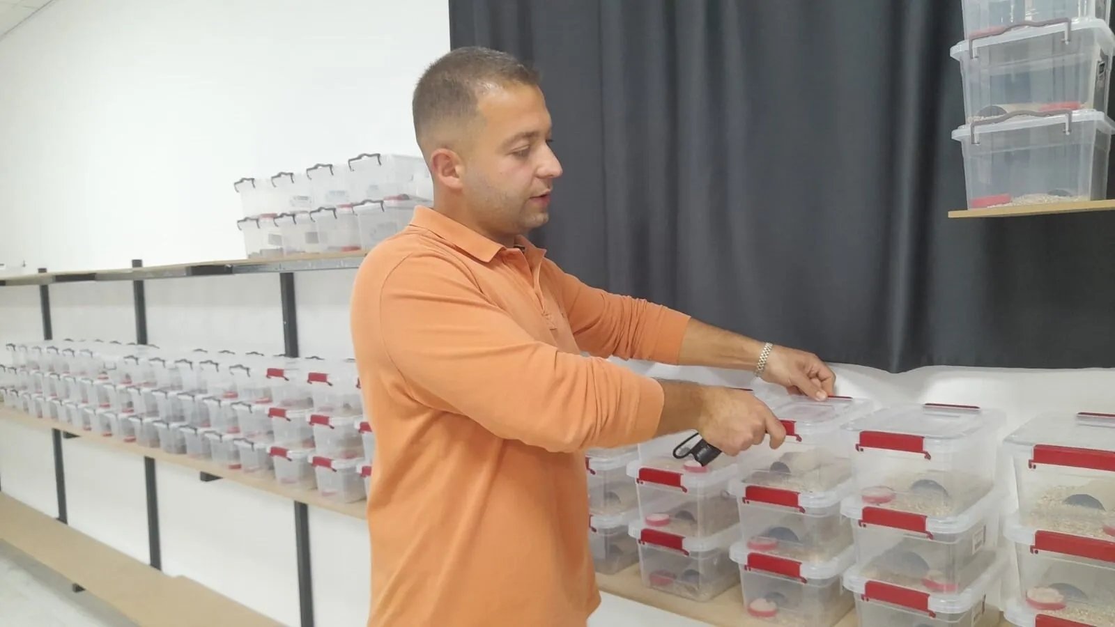 Zehirden şifa! Akrep zehri panzehir oluyor