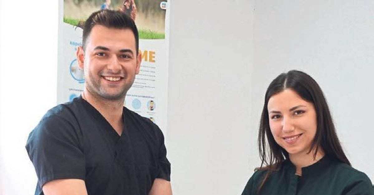 Akıllı kedi doğum için veterinere geldi - Pazar Haberleri