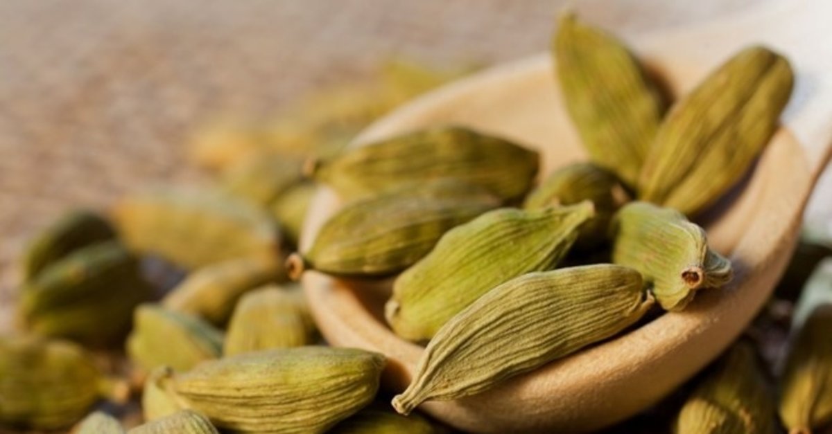 Kakule bitkisinin faydaları nelerdir?