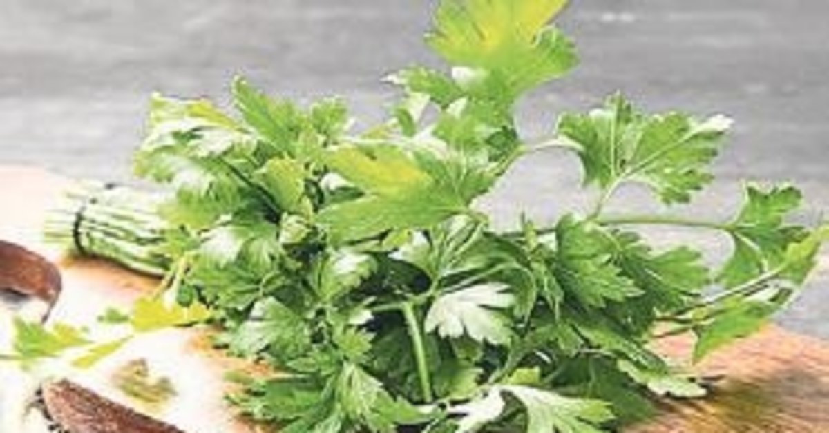 İltihabın ilacı maydanoz