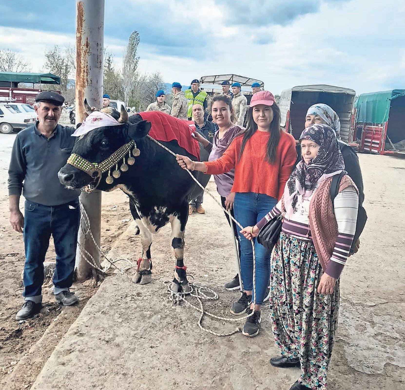 Pehlivan boğaların kaderi