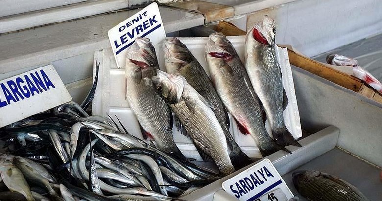 Tezgahlarda levrek bereketi - Ekonomi Haberleri