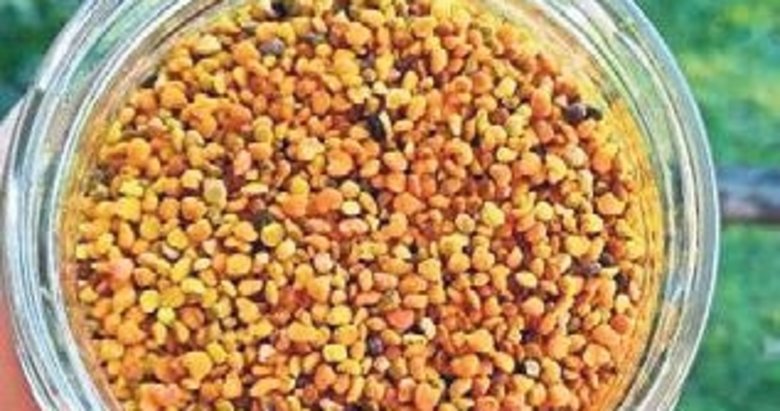 Arı poleni sağlık dostu - Sağlık Haberleri