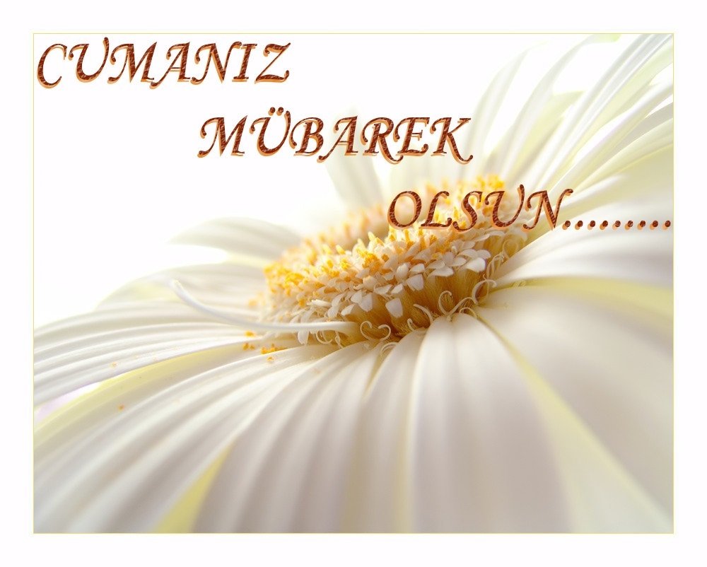 Hayırlı Cumalar! Resimli cuma mesajları... Hayırlı Cumalar! Resimli cuma mesajları...