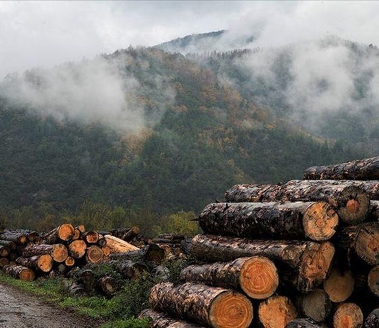 ODUN DIŞI DANIŞMANLIK HİZMET ALIMI